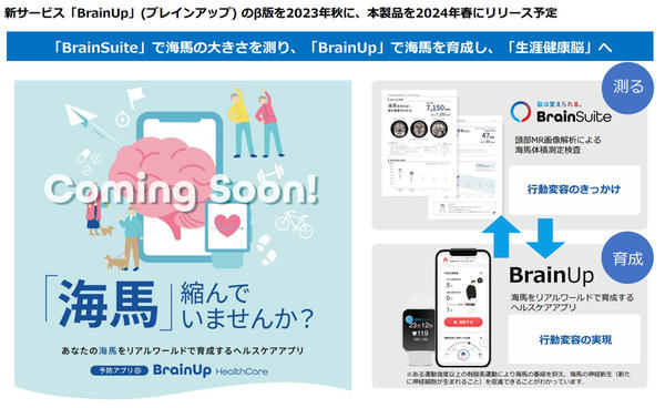 BrainSuite 株式会社CogSmart